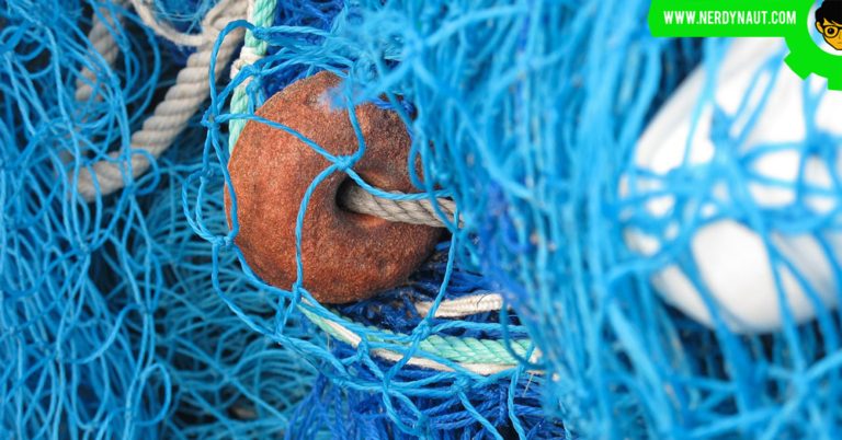 How does Fishing Net Work? - Nerdynaut