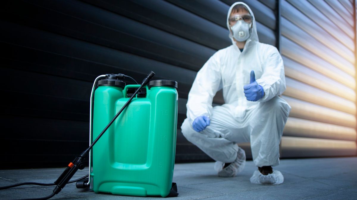 4 Important Differences Between Hiring Pest Control Services vs. Doing ...