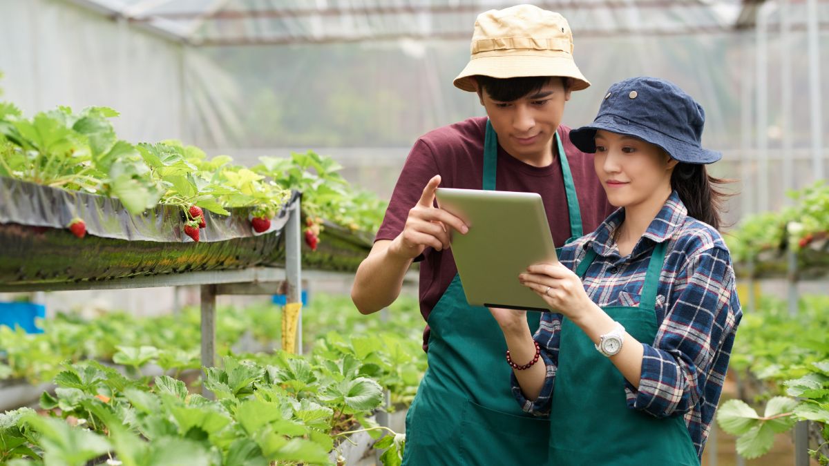 Smooth Out the Rough Patches in Your Small Business Processes - Nerdynaut